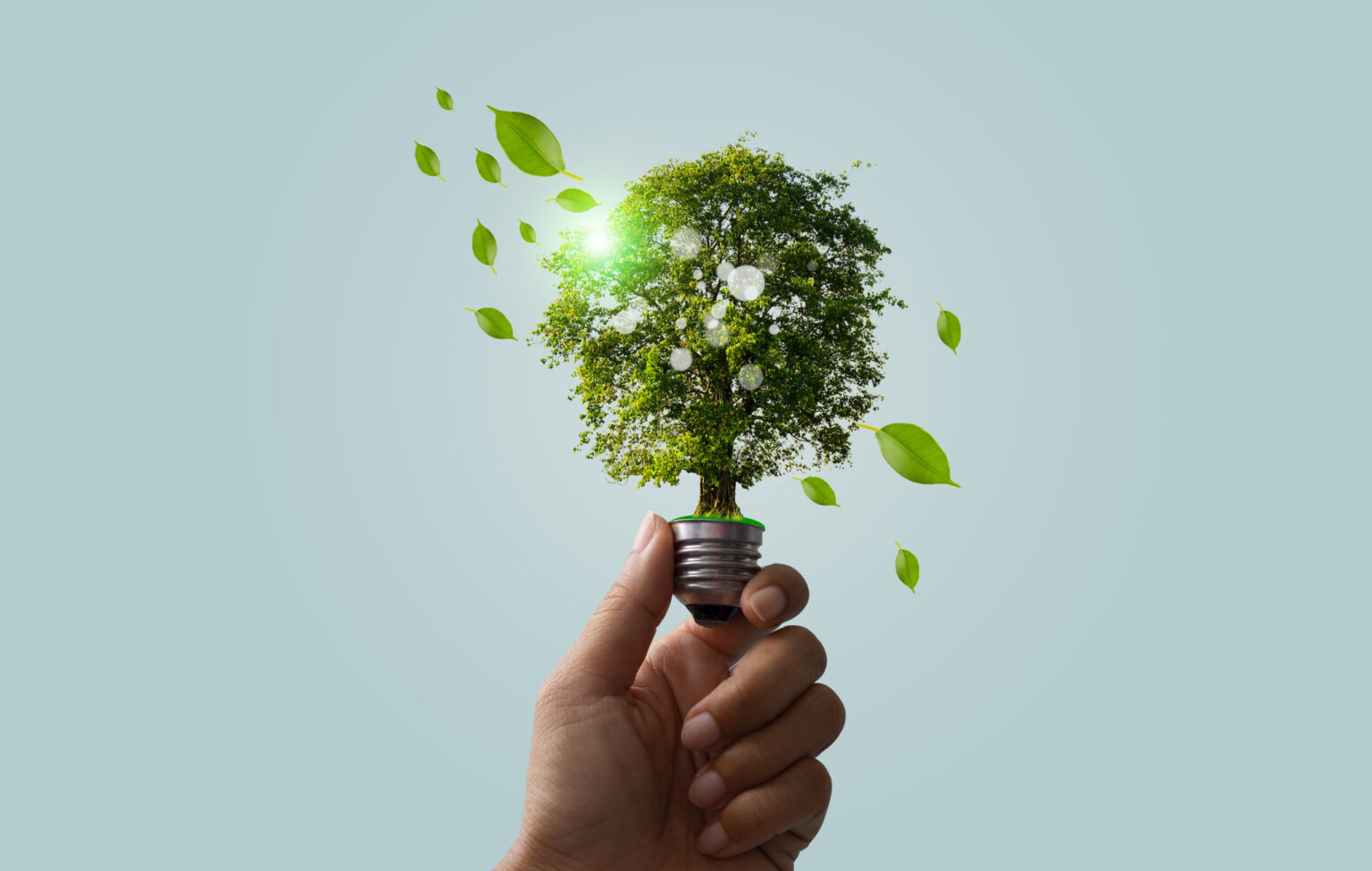 Is Net-Zero a Realistic Goal for All Companies? - National Association ...