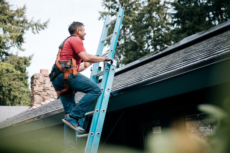 National Ladder Safety Month: Preventing Ladder Falls - National ...