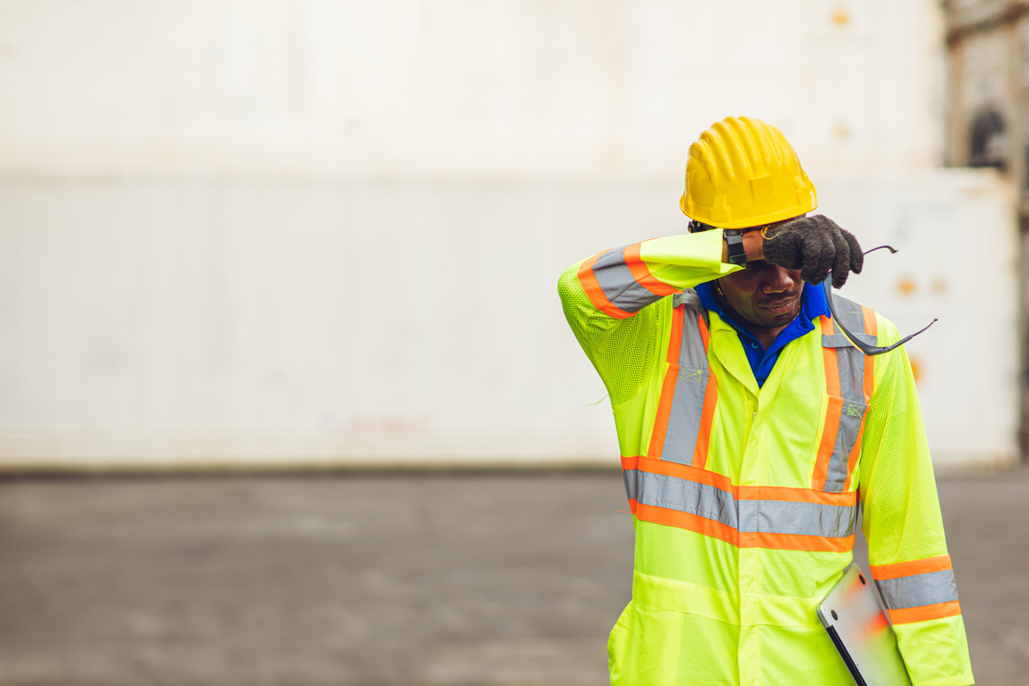 Safeguarding Workers from Heat Stress: The Role of Training and State ...